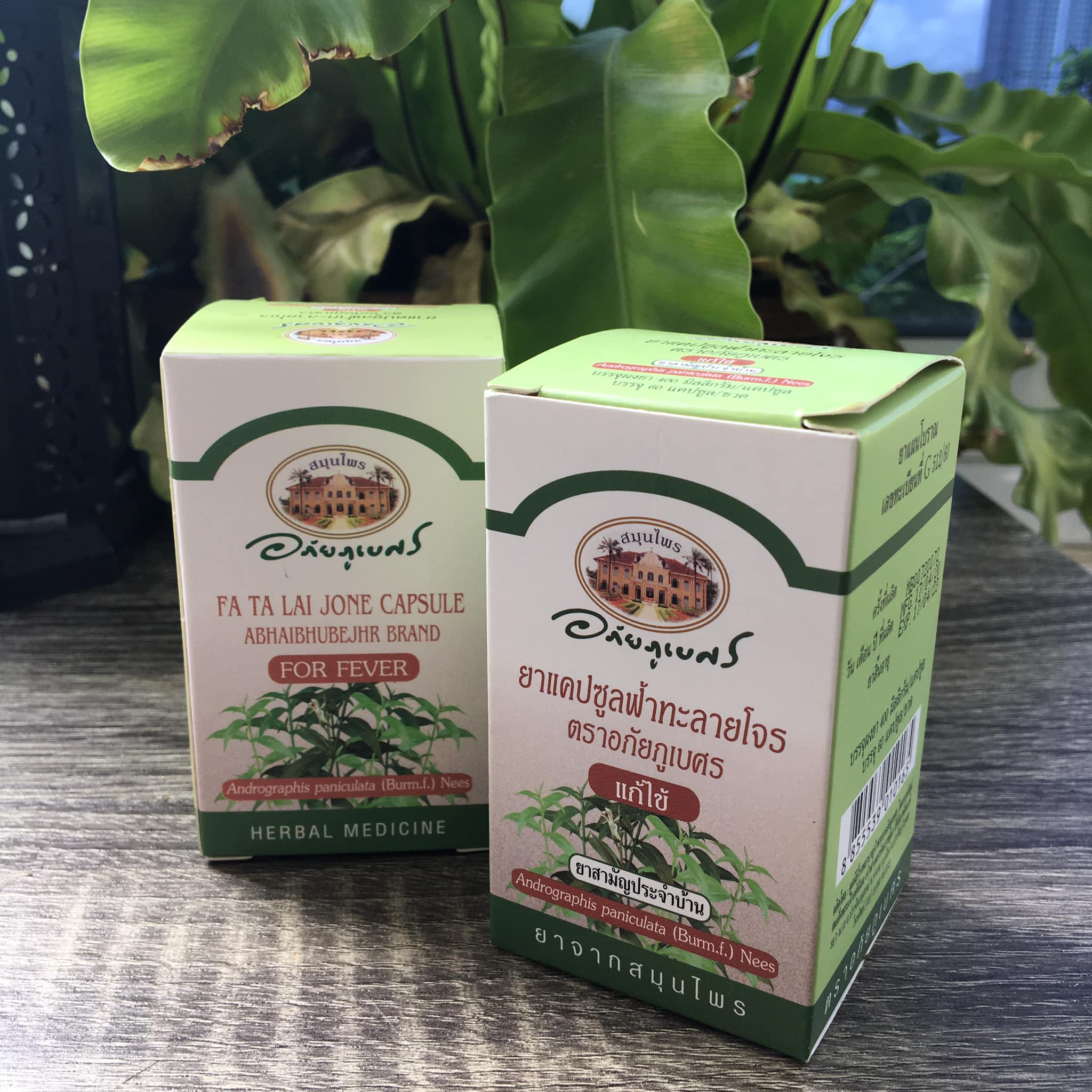 Thai traditional medicines to be delivered to Home Isolation patients ...