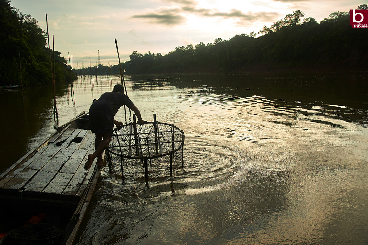 The Mekong's (wilting) Womb | Bangkok Tribune