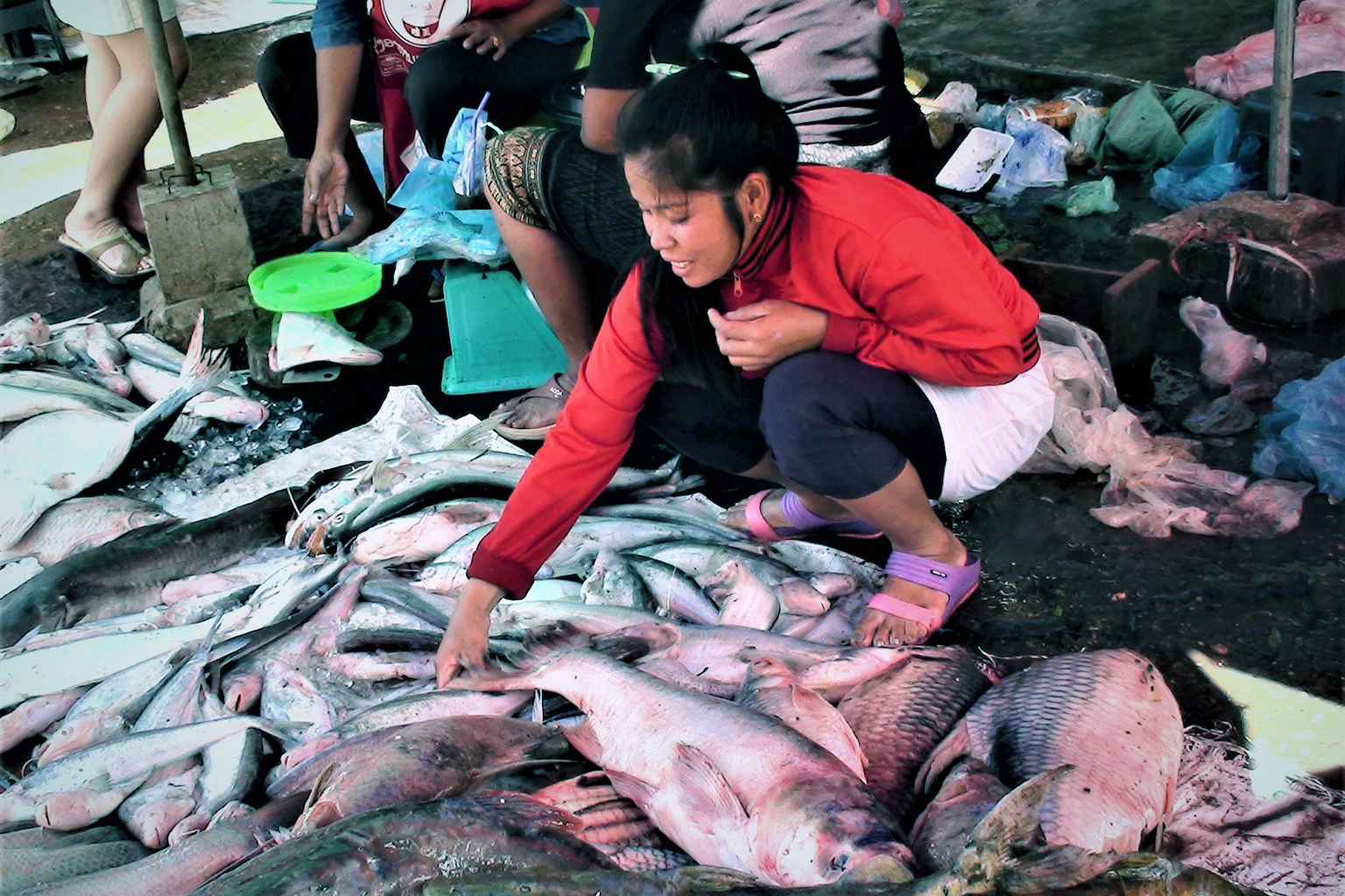 In Laos, a ‘very dangerous dam’ threatens an ancient world heritage ...