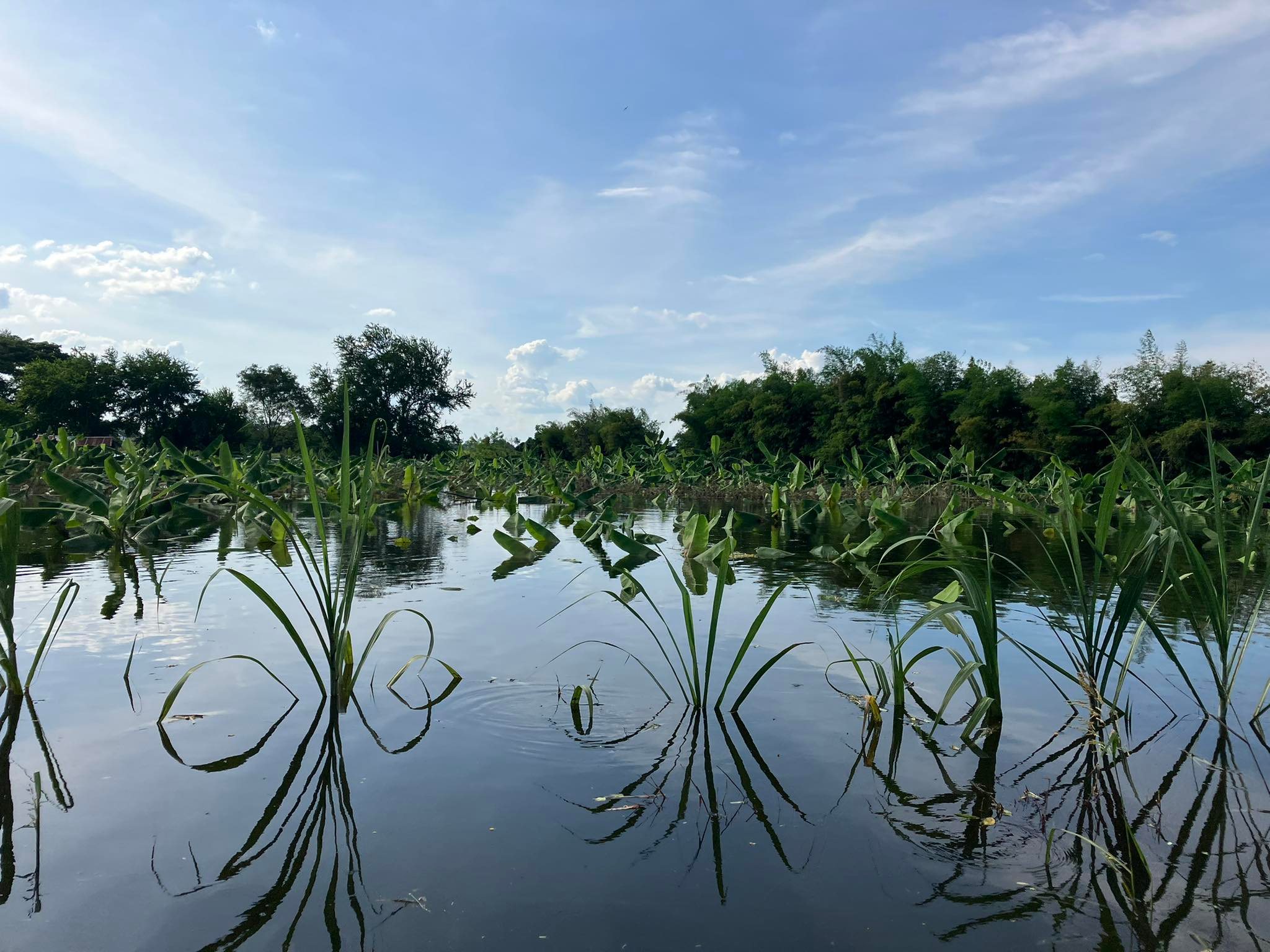 765,000+ people died worldwide due to 9,400+ extreme weather events ...