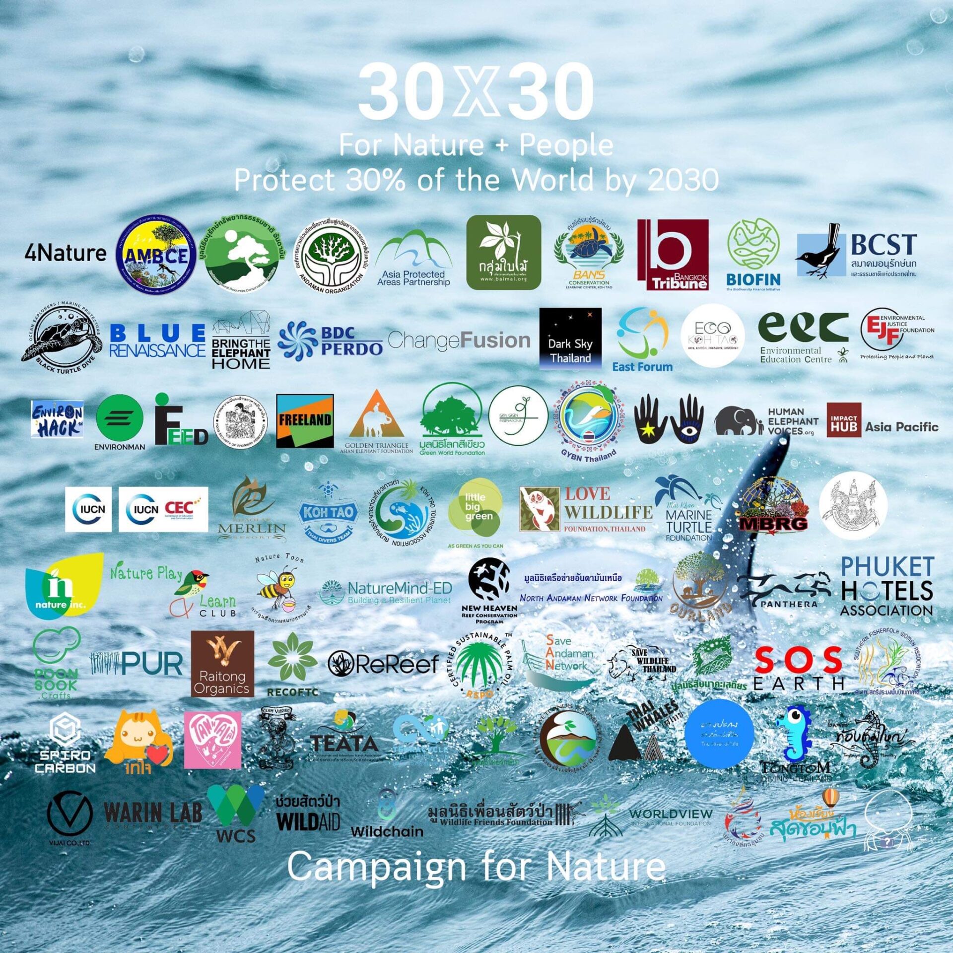 30x30 for Nature backed by leading conservation organisations | Bangkok ...