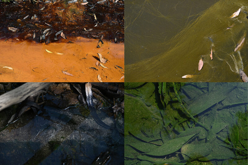 The Spills: A Close Look into Hazardous Waste Spills and the Clean-ups ...
